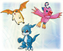 Patamon - Wikimon - The #1 Digimon wiki