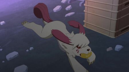 Labramon - Wikimon - The #1 Digimon wiki