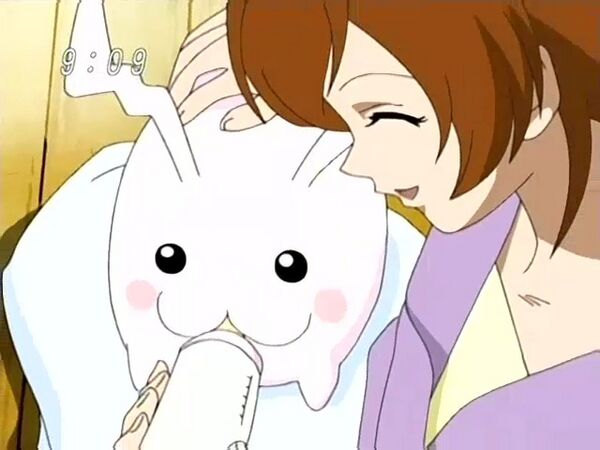 Tokomon - Wikimon - The #1 Digimon wiki
