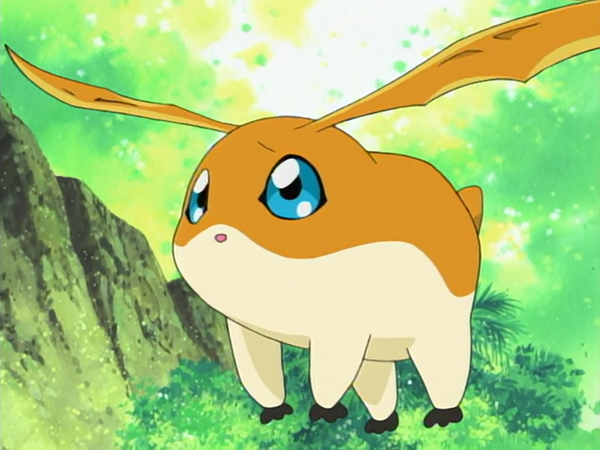 Patamon - Wikimon - The #1 Digimon wiki