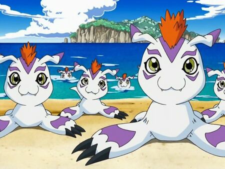 Gomamon - Wikimon - The #1 Digimon wiki
