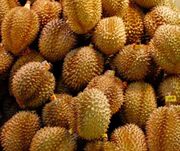 Category:Reference Images - Wikimon - The #1 Digimon wiki