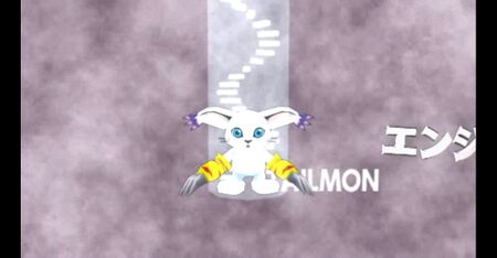 Tailmon (Adventure) - Wikimon - The #1 Digimon wiki
