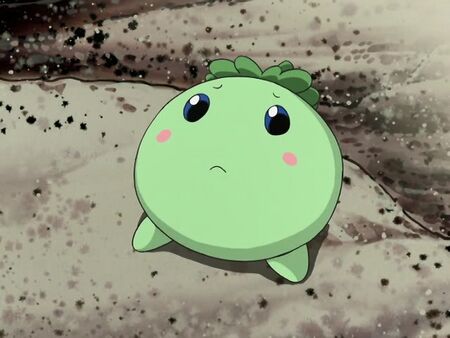 Pipimon - Wikimon - The #1 Digimon wiki