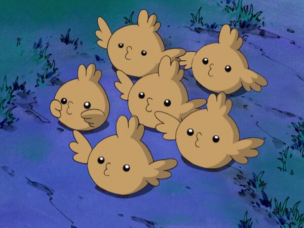 Torikara Ballmon - Wikimon - The #1 Digimon wiki