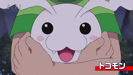 Tokomon - Wikimon - The #1 Digimon wiki