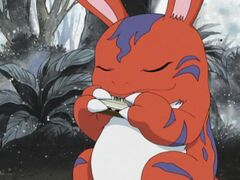 Digimon Adventure - Episode 50 - Wikimon - The #1 Digimon wiki