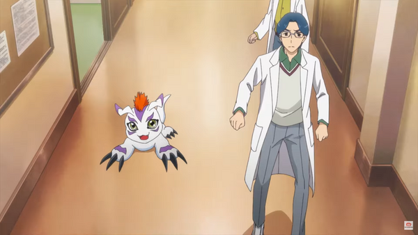 Gomamon (Adventure) - Wikimon - The #1 Digimon wiki