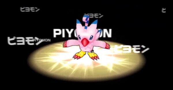 Piyomon (Adventure) - Wikimon - The #1 Digimon wiki