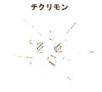 Chikurimon - Wikimon - The #1 Digimon wiki