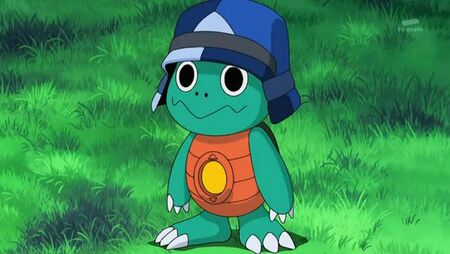Kamemon - Wikimon - The #1 Digimon wiki