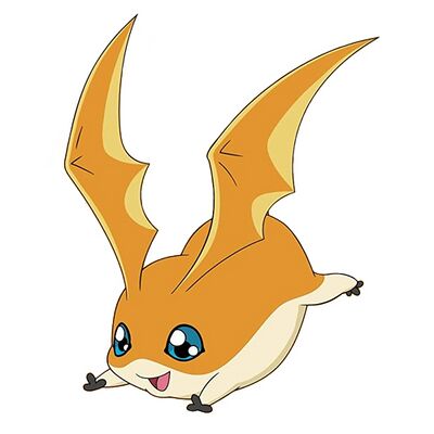 Patamon - Wikimon - The #1 Digimon wiki