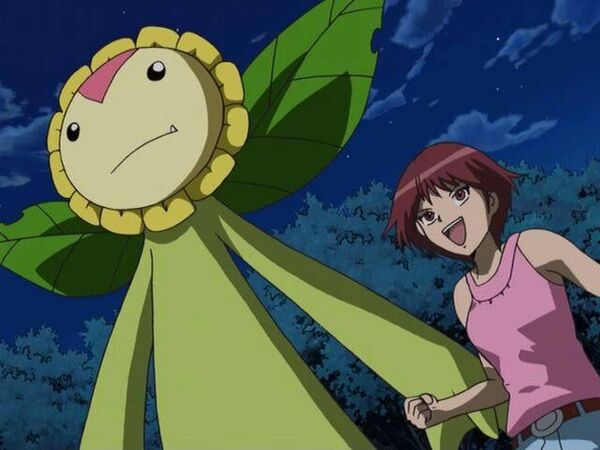 Sunflowmon - Wikimon - The #1 Digimon wiki