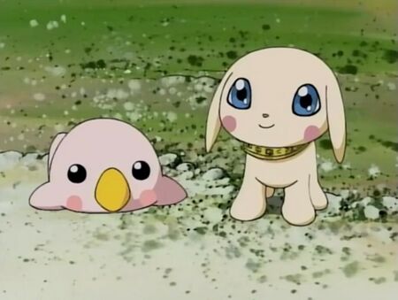 Pururumon - Wikimon - The #1 Digimon wiki