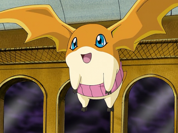 Patamon - Wikimon - The #1 Digimon wiki