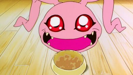 Koromon - Wikimon - The #1 Digimon wiki